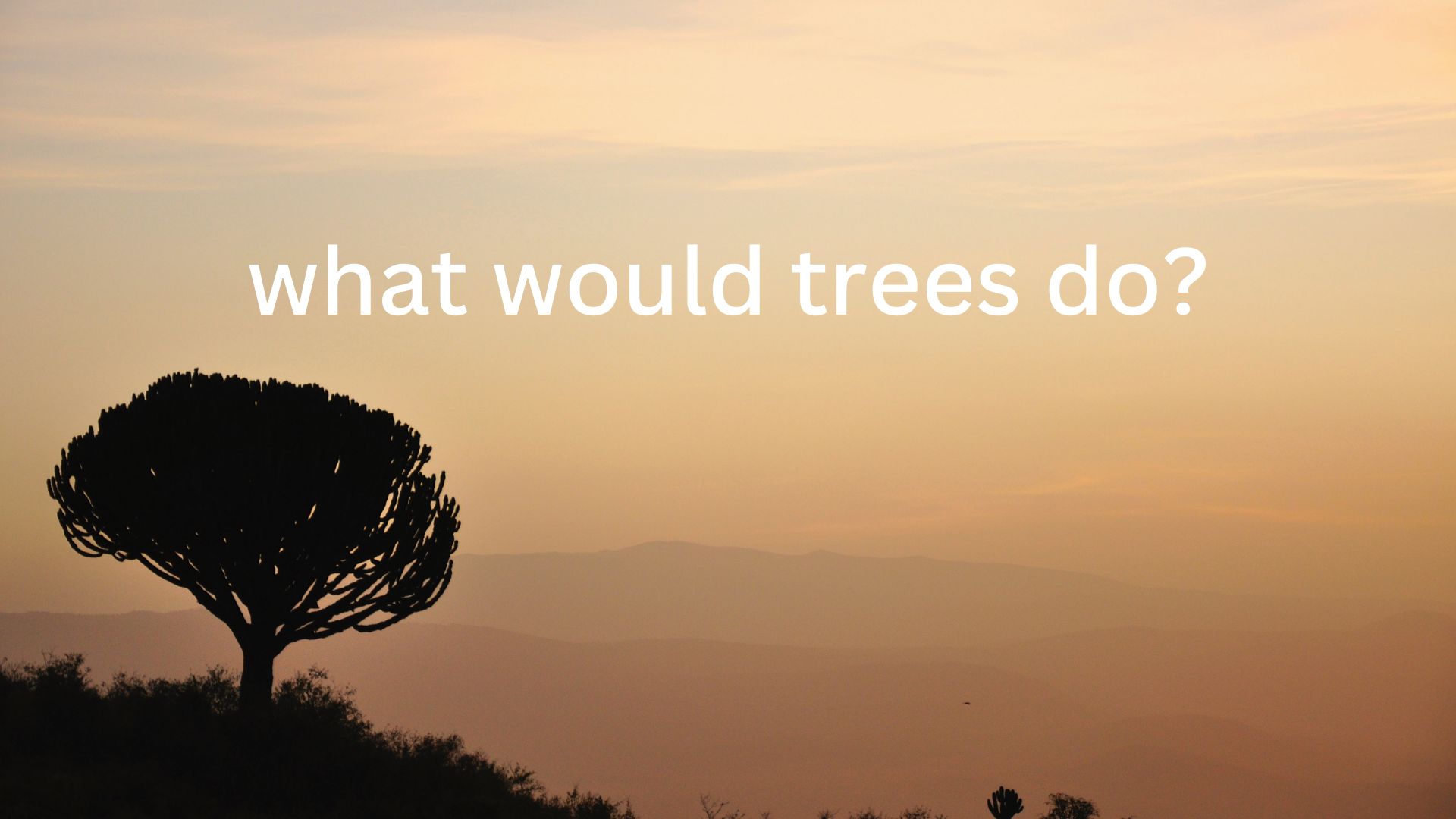🌈 Lessons from Nature for a More Fulfilling Career | Virtual FieldTrips ...