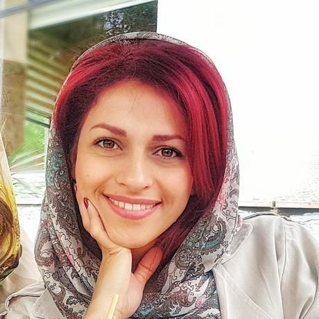 Attendees - Mohsen Safavifar