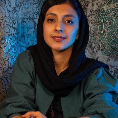 Attendees - shahram shafiee & Hatef Sharar