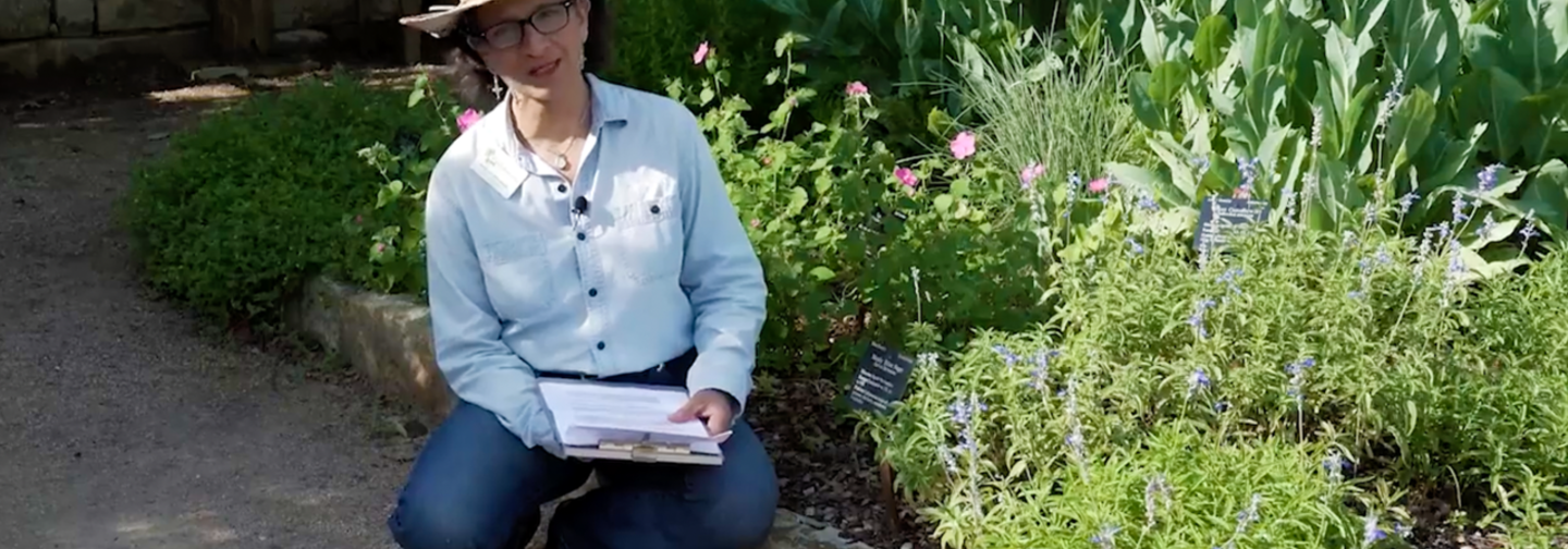 Andrea DeLong-Amaya & Angel Horne | Lady Bird Johnson Wildflower Center ...
