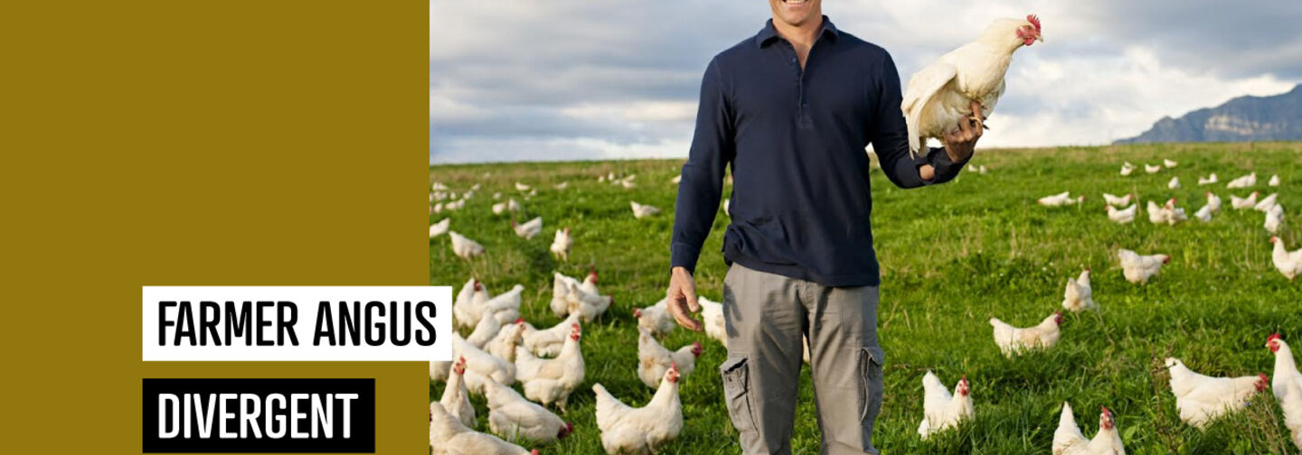 Angus McIntosh | Why I turned down Goldman Sachs to Farm ...